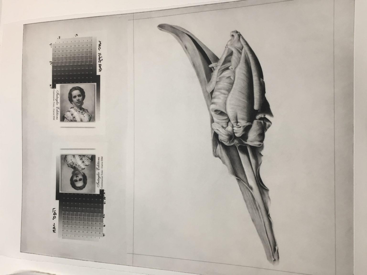 Polymer Photogravure Intaglio Printmaking Tips - Traditional ...